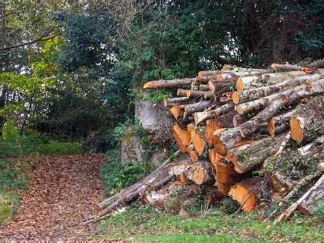 Mastering Logging In Koa With Log4js For Better Application Insights