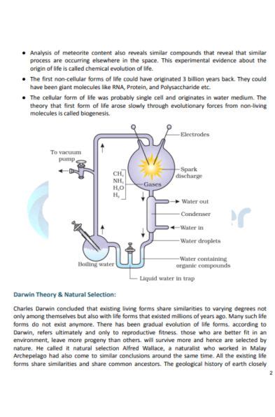 CBSE Class 12 Biology Evolution PDF