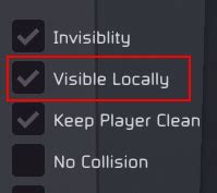 Bug Visible Locally Option For Invisibility Don T Work Anymore Issue YimMenu
