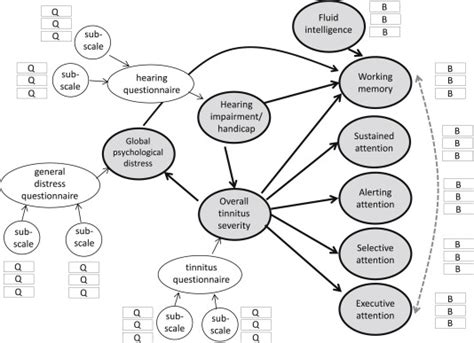 Putative Model Describing The Consequences Of Tinnitus On Working Download Scientific Diagram