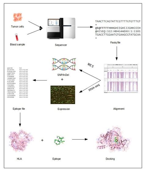 Computational Pipeline For Detection Of Patient Specific Tumor Download Scientific Diagram