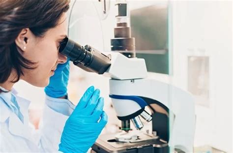 PGT Testing For Surrogacy Improve Your Odds Surrogacy Place