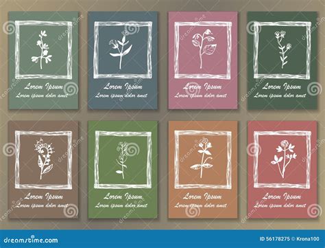 Set Vintage Posters With Hand Drawn Ink Herbs Stock Vector