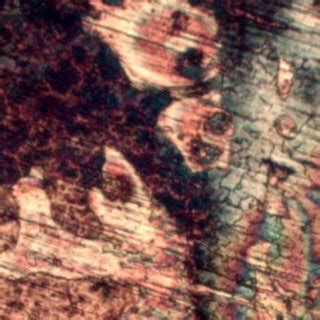 Photograph Copper Corrosion On Windings Multiple Types Of Corrosion Download Scientific