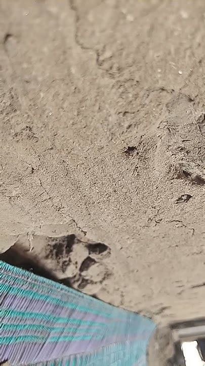 June 22 2024 Youtube