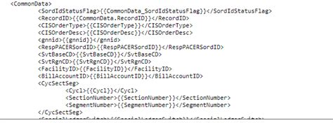Global Variables Are Not Getting Replace With Json Values 🙋 Help
