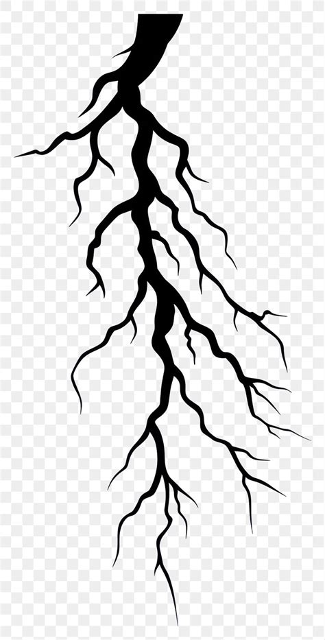 Fire Animals Images Free Photos Png Stickers Wallpapers