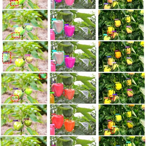 Comparison Of Mask Rcnn Model Results Before And After Improvement The Download Scientific