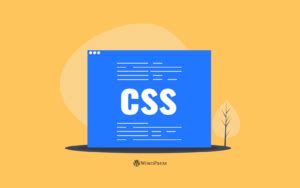How To Add Custom CSS In WordPress Site Tutsflow