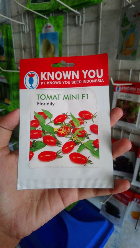Benih Tomat Mini Floridity Tomat Kemasan Asli Pabrik Lazada Indonesia