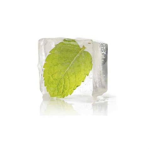 Mint Blast The Nobacconists