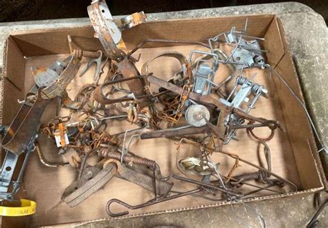 Gopher Traps Assorted Traps Hamilton Maring Auction Group