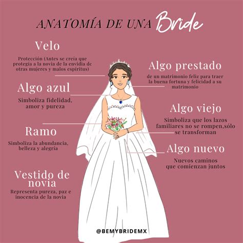 Anatomía De Una Bride Que Debe Llevar Una Novia En Su Boda Ajuar De