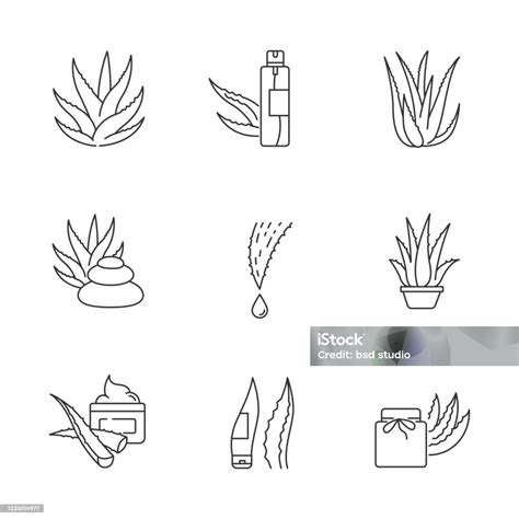 알로에 베라 픽셀 완벽한 선형 아이콘 세트 유기 화장품 스프레이 약초스파 트리트먼트 사용자 정의 가능한 얇은 선 윤곽 심볼 격리된 벡터 개요 그림입니다 편집 가능한 스트로크
