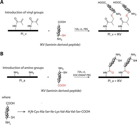 Schematization Of Two Different Strategies For The Development Of A