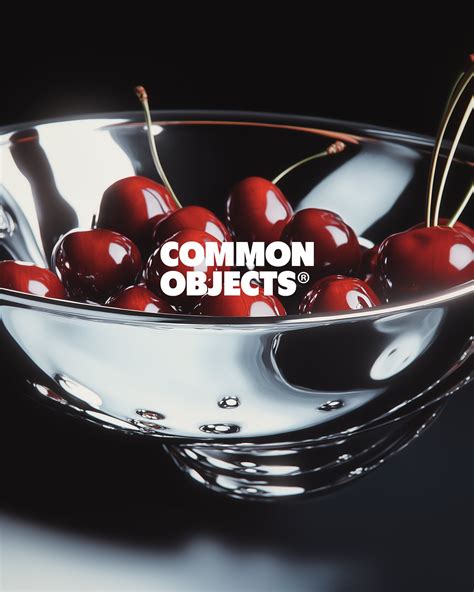 Common Objects Store