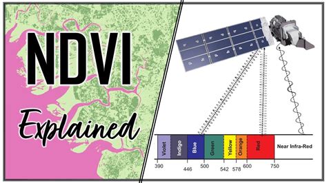 Calculating Ndvi From Satellite Imagery Using Qgis Youtube