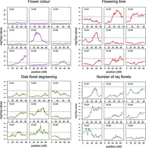Qtl Analysis Of Flower Colour Purple Flowering Time Red Disk Download Scientific Diagram