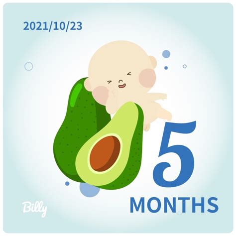 6 쌍둥이 임신5개월16~19주 기록 제주도 태교여행 소노펫 태교여행 쌍둥이 태동 임산부 먹방 네이버 블로그