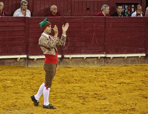 Curious Facts About Portuguese Bullfighting Pictolic