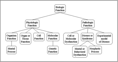 Part Of The Umls Semantic Network Download Scientific Diagram