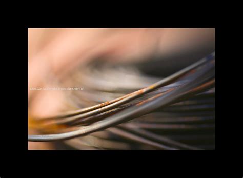 Rusted Curve Behance