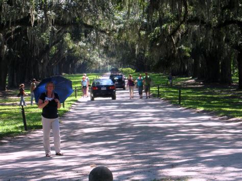 The Drawn Cutlass Charleston Sc Vacation Pics