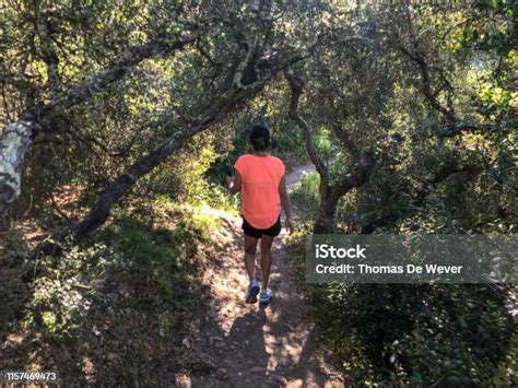 녹색 산림에서 실행 하는 분홍색 민소매 셔츠 훈련에 긴 머리와 젊은 운동 스포티 한 소녀 건강한 생활방식에 대한 스톡 사진 및 기타 이미지 건강한 생활방식 계절 공원