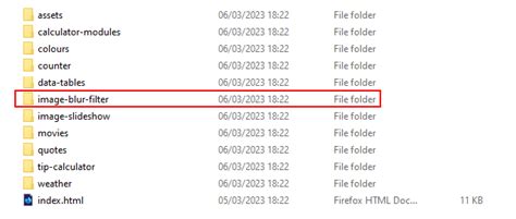 Image Blur Filter JavaScript Project Brendan Munnelly
