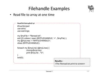 Perl Programming Programming File PPT
