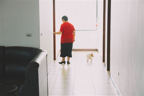 Img 57 Justin Yu Flickr