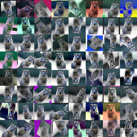 top python libraries for image augmentation in computer vision