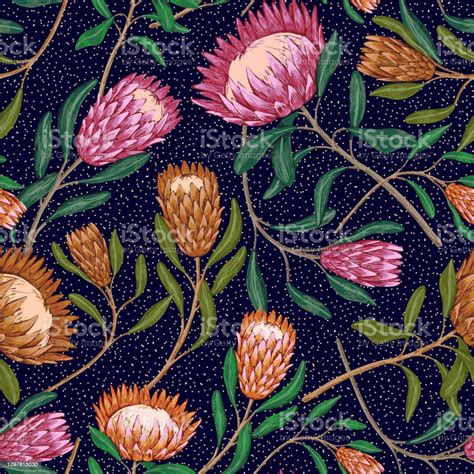 프로테아 열대 꽃과 점 손으로 그린 벡터 원활한 패턴 이국적인 식물벽지 빈티지 식물 장식품 인쇄 카드 장식 랩 직물 직물 배경에 대한 다채로운 디자인 프로테아에 대한 스톡