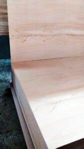 Jual Plywood Triplek Kualitas Harga Murah Pt Bajra Bumi Nusantara