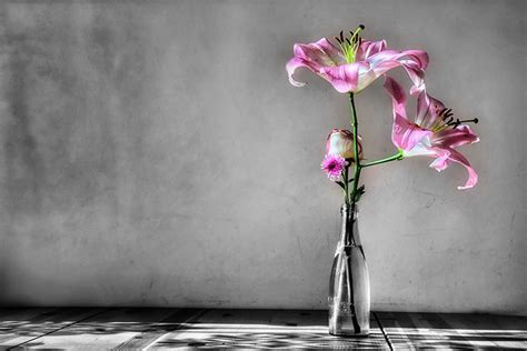 How To Blend Layers In Photoshop 3 Best Methods