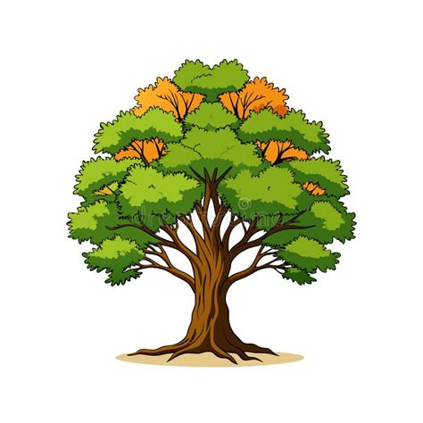 Charming European Beech Tree Illustration Stock Illustration