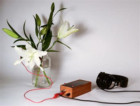 触摸传感器和arduino让植物唱起歌来 趣无尽