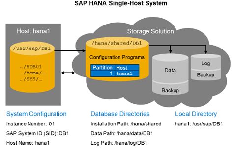 SAP BASIS BASIC OVERVIEW S Hana Database Installation