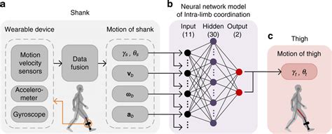 The Principle Of Lower Limb Motion Capture By Single Wearable Device A Download Scientific