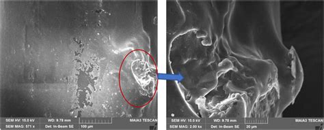 Defects On Surface Of Pa6mwcntcb Nanocomposite Filaments As Mfr 12