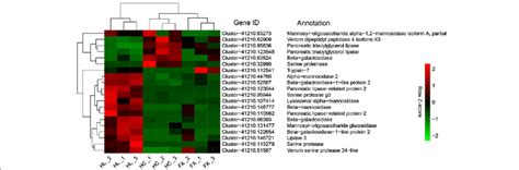 Heatmap Of Normalized FPKM Of DEGs Related To Digestion The Z Score