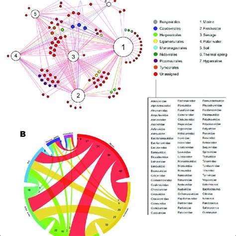 Virushost Interaction Network Bipartite Network Graph Showing A