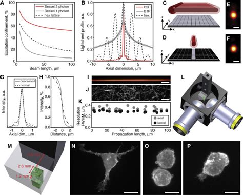 Quantitative Multiscale Cell Imaging In Controlled D Microenvironments Developmental Cell