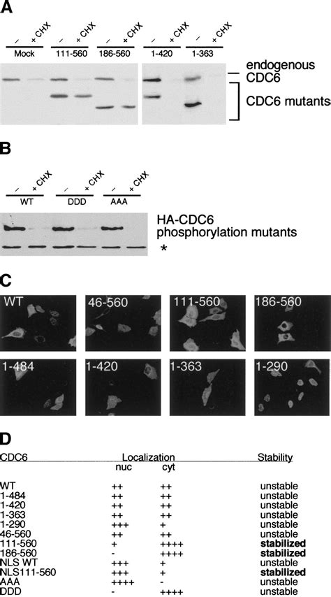 Cell Cycle And Cell Growthregulated Proteolysis Of Mammalian Cdc6 Is