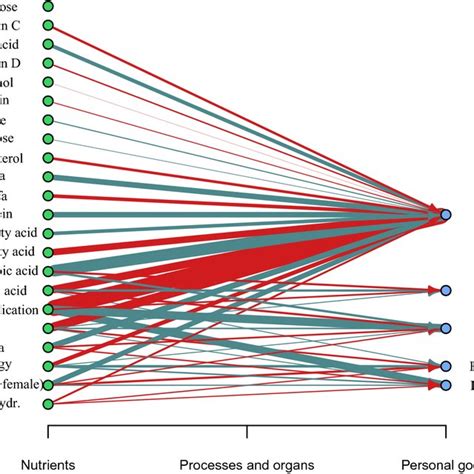 Visualization Of The Mixed Effect Bayesian Network Shows The General