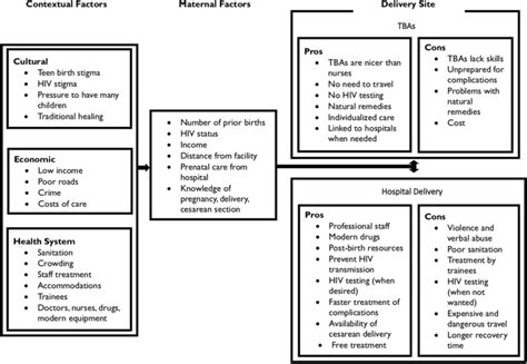 Matrix Of Forces Directly Affecting Women And Influencing Their Download Scientific Diagram