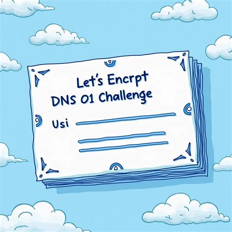 let s encrypt dns 01 challenge ovh api y wordops juan carlos beltrán