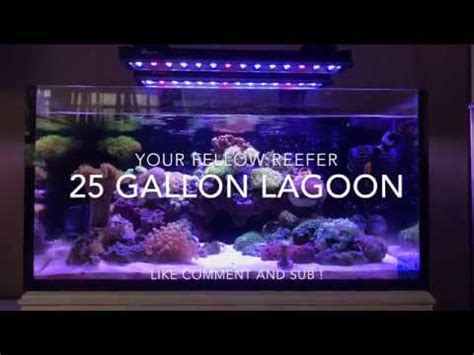 25 Gallon Lagoon Innovative Marine Youtube