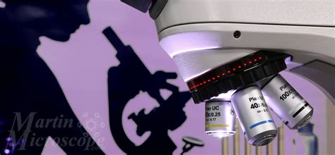 You Dont Need To Be Overwhelmed With Choices Where The Only Difference