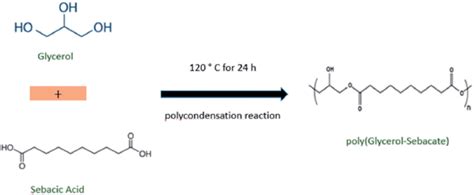 Synthesis Process Of Poly Glycerol Sebacate Pgs Download